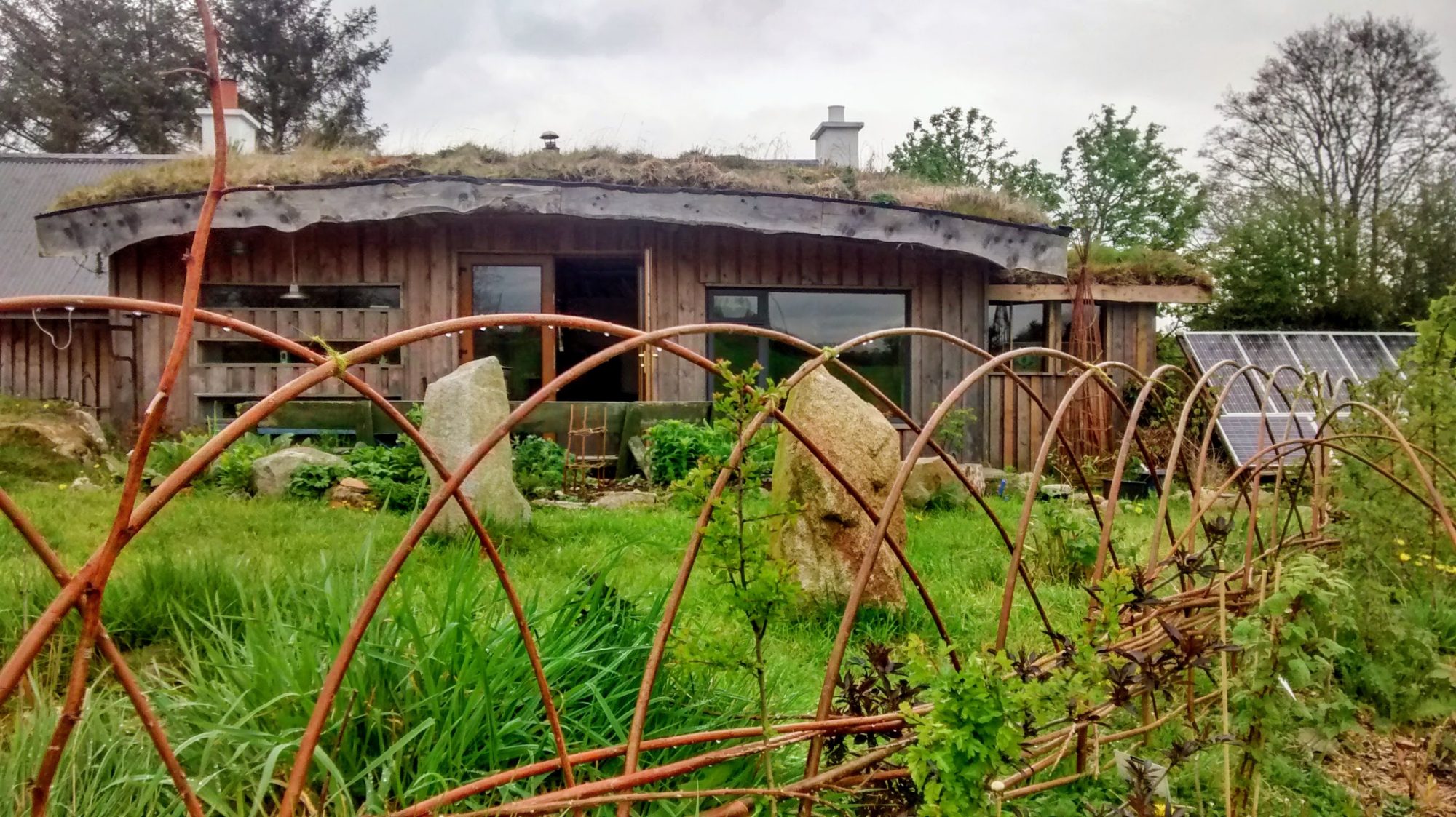 Willow fencing - Lackan Cottage Farm - Permaculture off grid smallholding