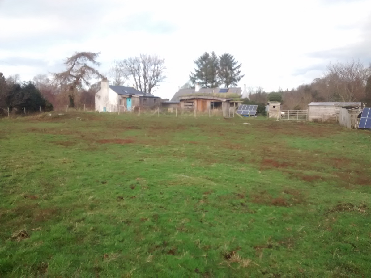 Managing horses on a small acreage - Lackan Cottage Farm - Permaculture ...